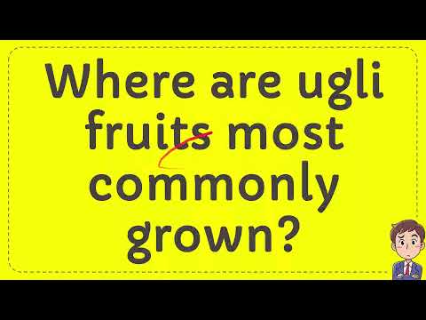 ᐉ How Does Ugli Fruit Grow - A Complete Beginner's Guide