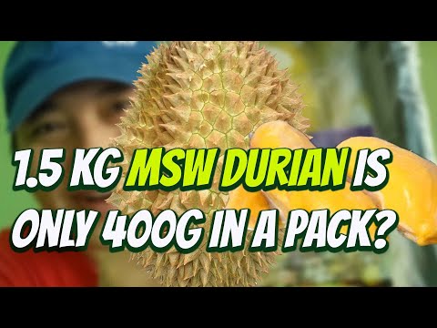 ᐉ How much does Durian weigh? - A Complete Beginner's Guide