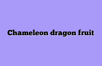 ᐉ Simon Purple Dragon Fruit: Taste the Spectacular