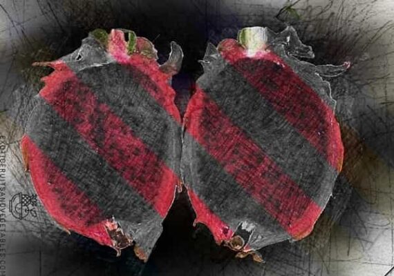 ᐉ Taste the Rich Flavor of Colombian Supreme Red Dragon Fruit