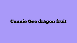 ᐉ A Taste of the Tropics: Connie Gee's Dragon Fruit