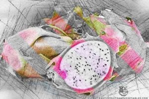 ᐉ Delight Dragon fruit: A unique and delicious fruit