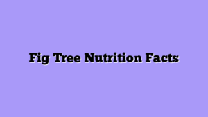 ᐉ Fig Tree Nutrition Facts - A Complete Beginner's Guide