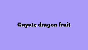 ᐉ A taste of the tropics: The Guyute Dragon Fruit