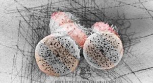 ᐉ Discover the exotic flavors of Honduras' Moon dragon fruit