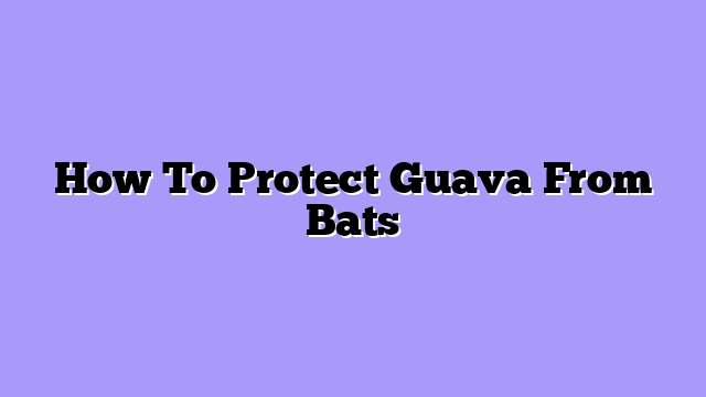ᐉ How To Protect Guava From Bats - A Complete Beginner's Guide