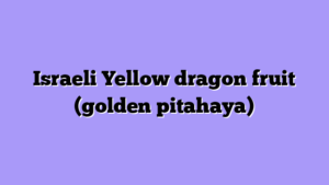 ᐉ Israeli Yellow Dragon Fruit: The Perfect Superfood