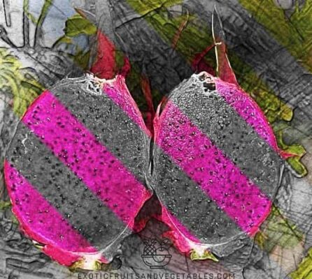 ᐉ The Heart of Flavor - La Verne Red Dragon Fruit