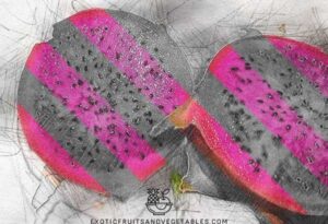 ᐉ Discover the Secret Benefits of Maria Fucsia Dragon Fruit!