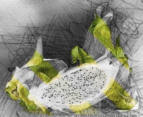 ᐉ Experience the Sweetness of Marmel 8 Dragon Fruit!