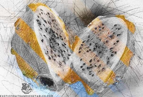 ᐉ Experience a Flavour Explosion with Palora Yellow Dragon Fruit