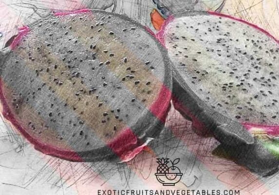 ᐉ The Sweet Surprise of Pepino Dulce Dragon Fruit