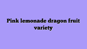 ᐉ Pink lemonade dragon fruit: A unique flavor combination
