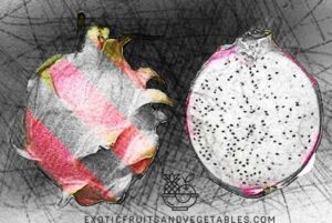 ᐉ The Ultimate Fiery Treat - Tabasco Dragon Fruit
