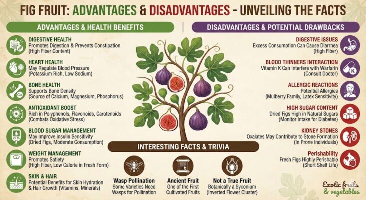 ᐉ Fig Fruit Advantages And Disadvantages - A Complete Beginner's Guide